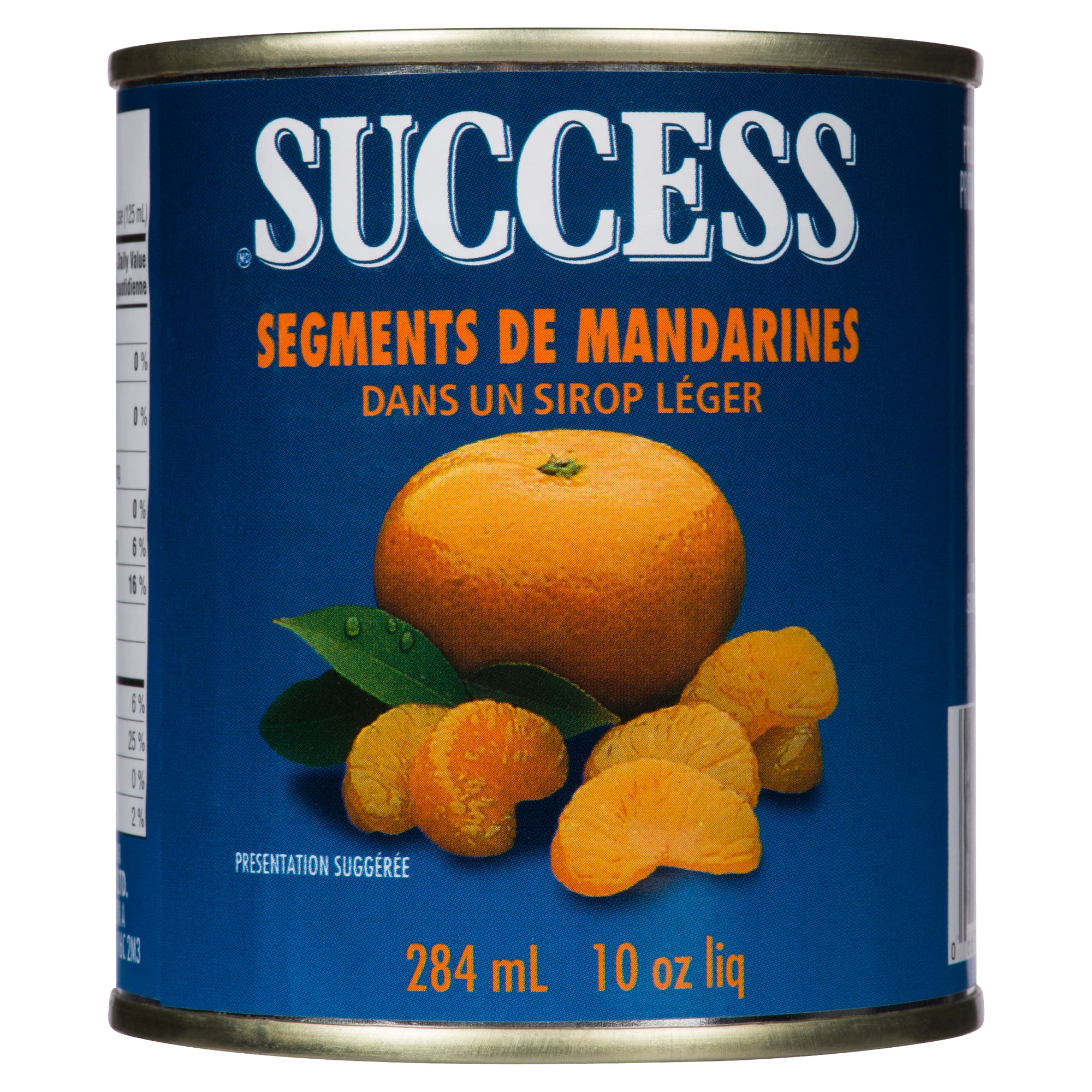 Success Mandarin Orange Segments - 284ml – Giant Tiger
