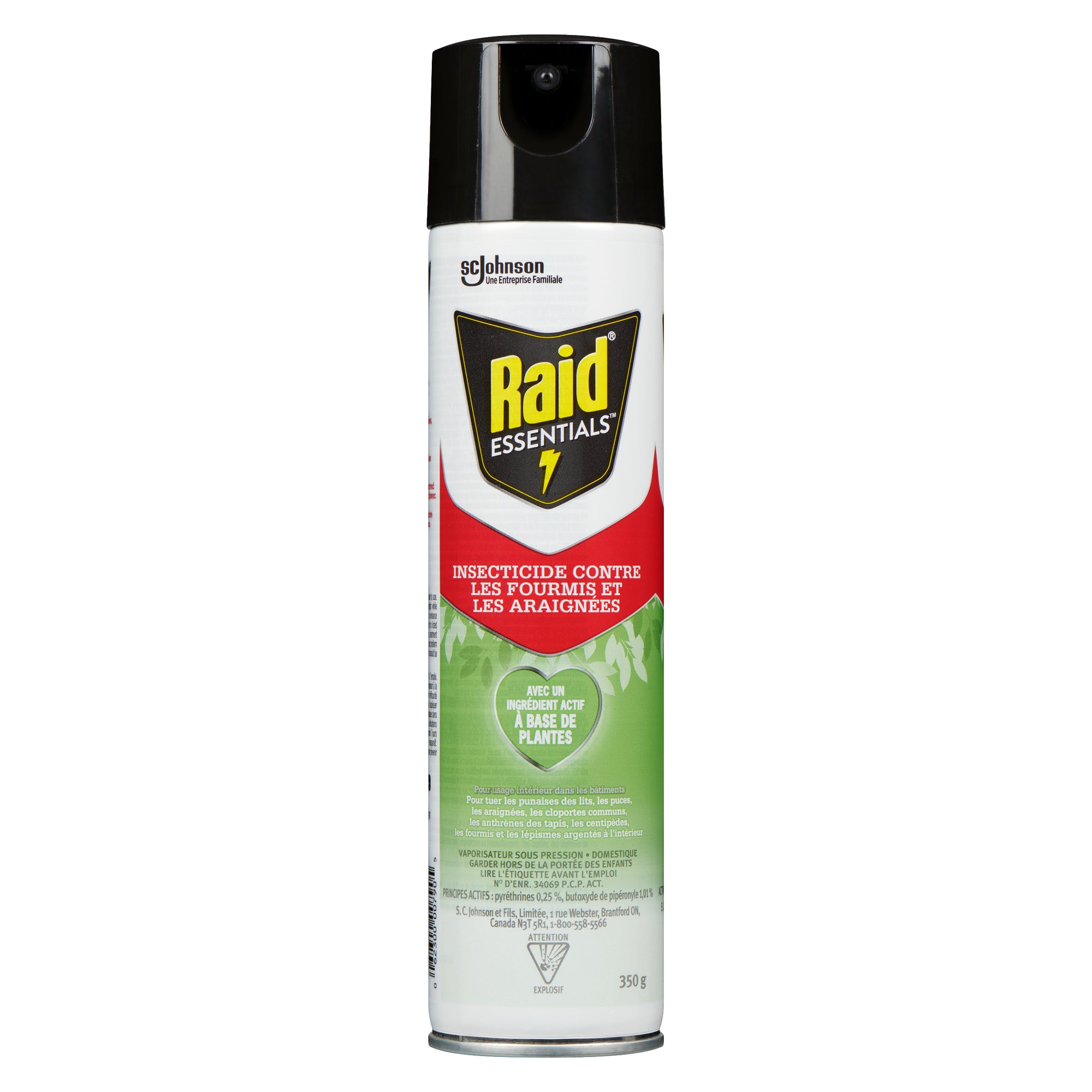 Raid Essentials Ant & Spider Killer 350 g – Giant Tiger