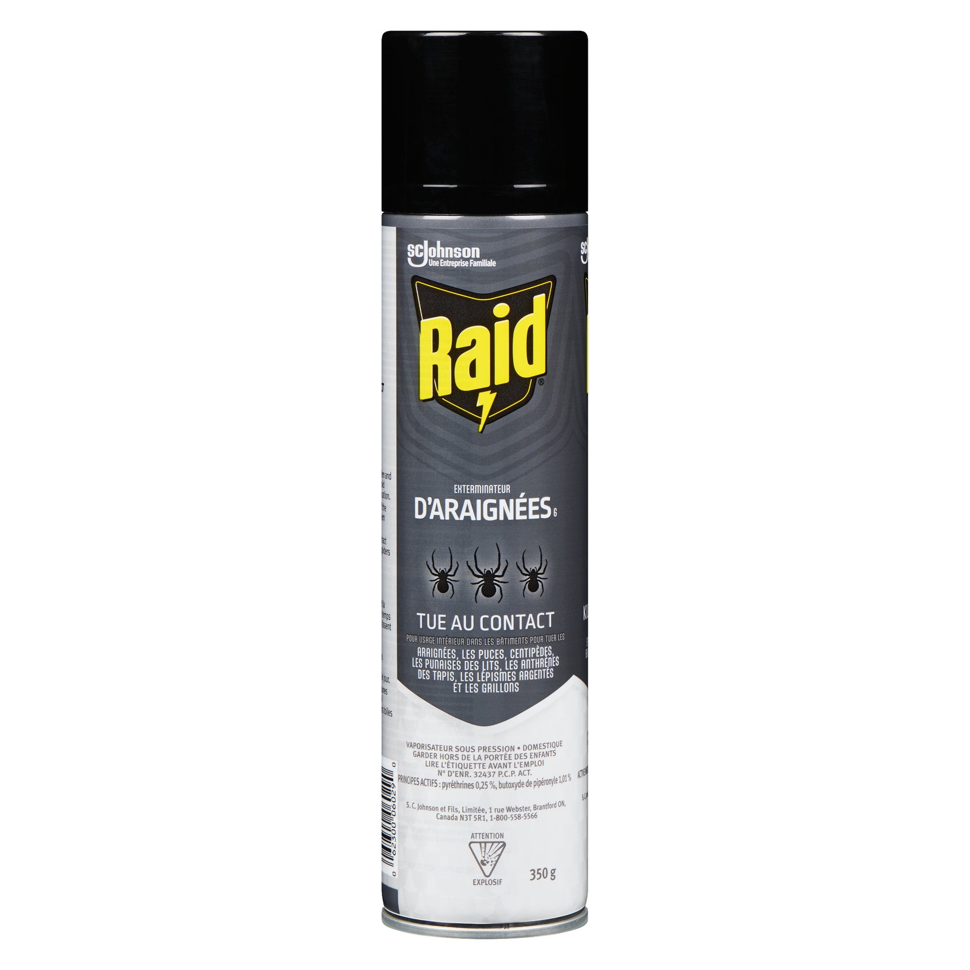 Raid® Spider Blaster Spray - 350g – Giant Tiger
