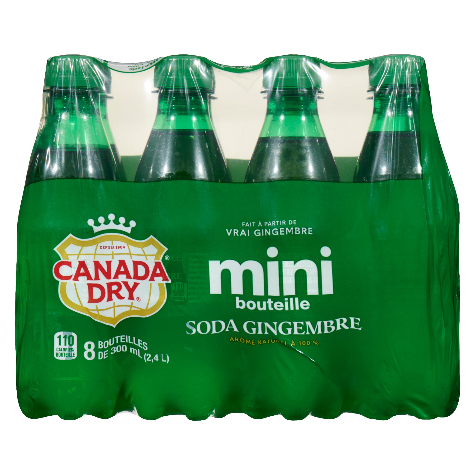 Canada Dry Ginger Ale Mini Bottle, 8-Pack, 300-ml – Giant Tiger