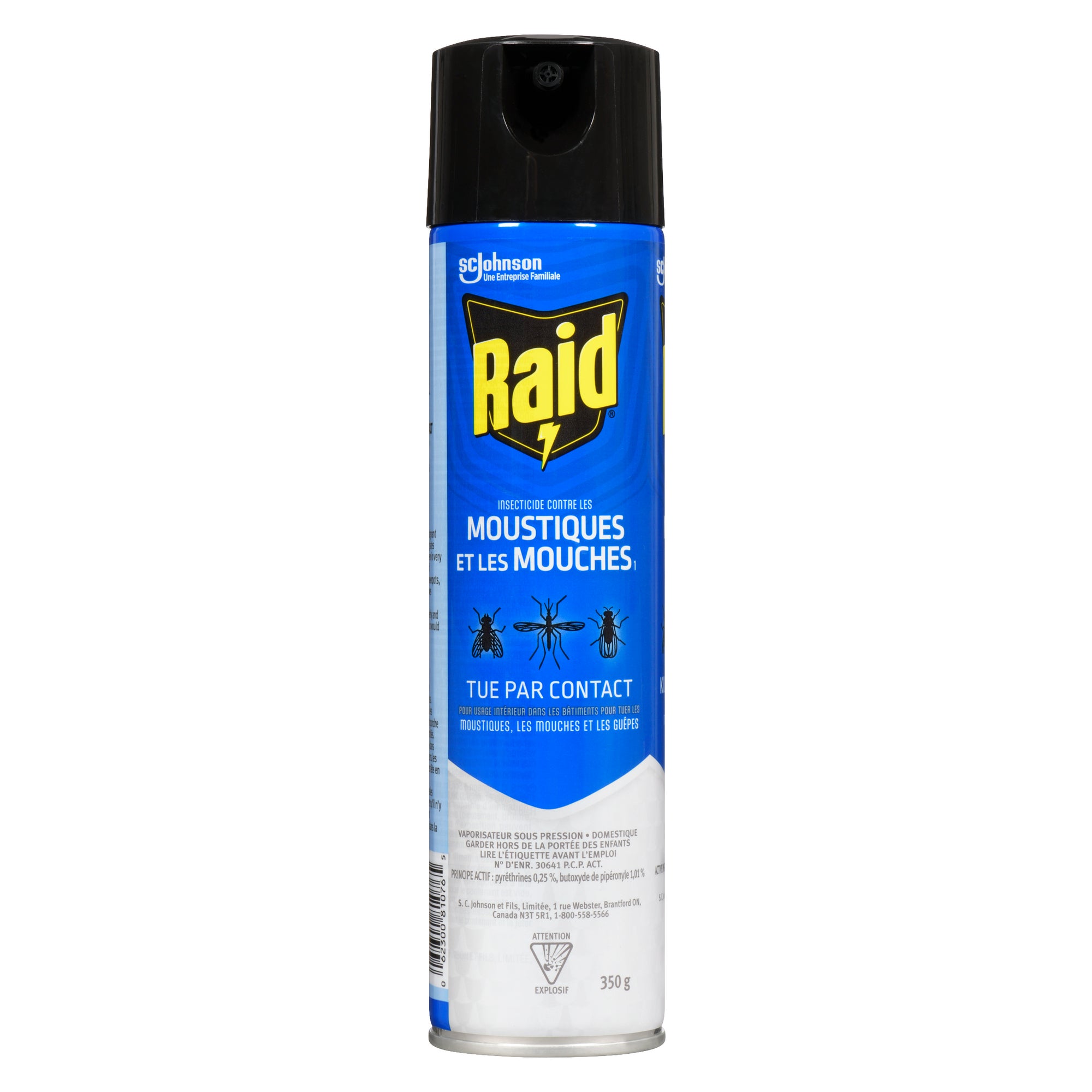 Raid Mosquito and Fly Killer - 350g – Giant Tiger