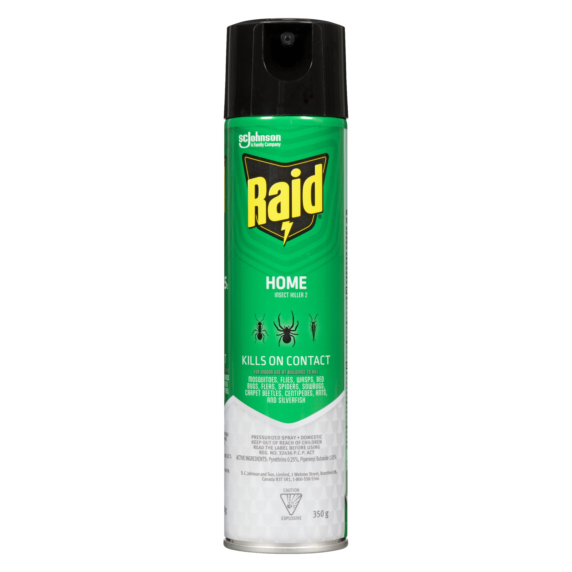 Raid Home Insect Repellent - 350g – Giant Tiger