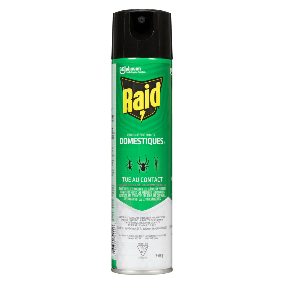 Raid Home Insect Repellent - 350g – Giant Tiger