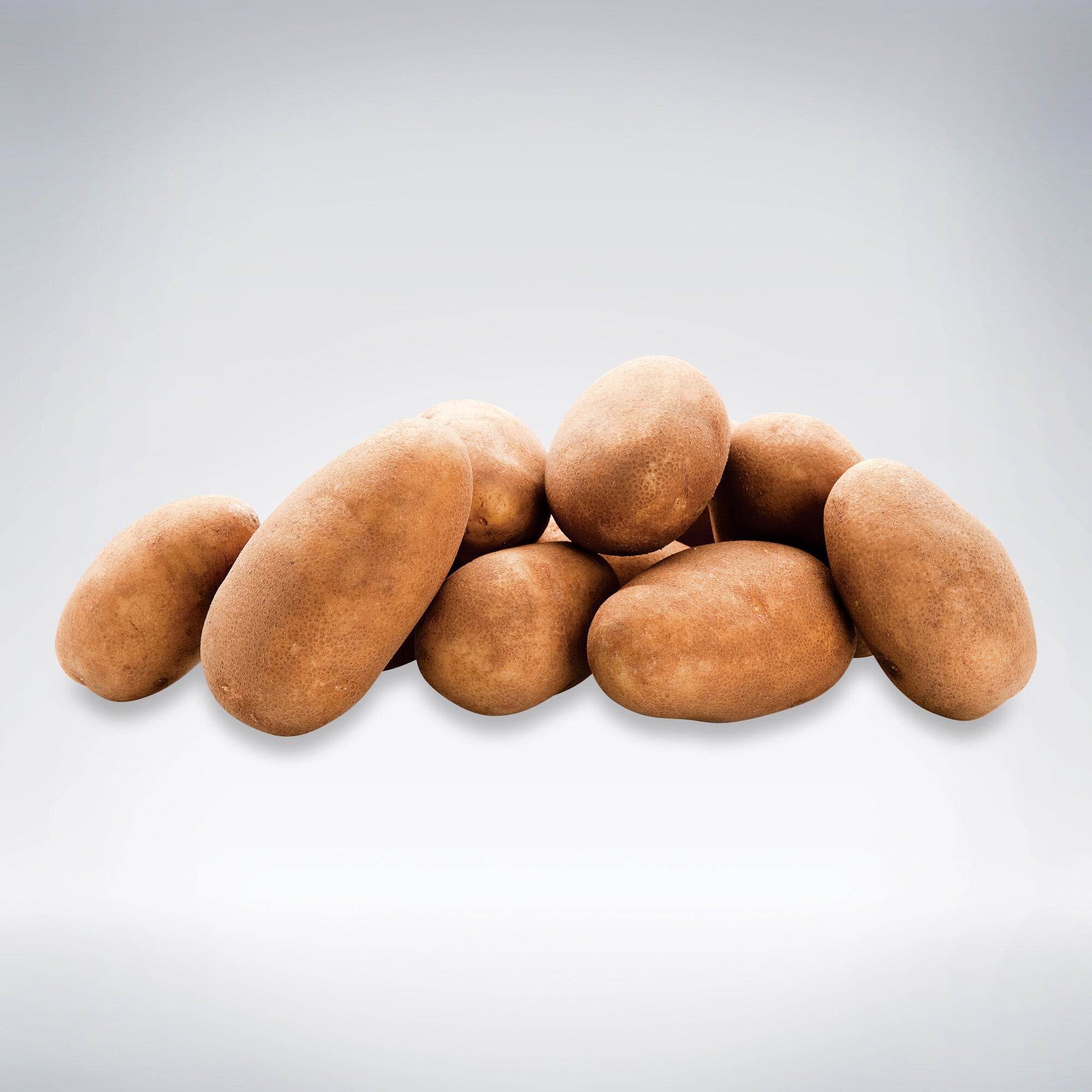 Russet Potatoes Poly Bag, 10-lb. – Giant Tiger