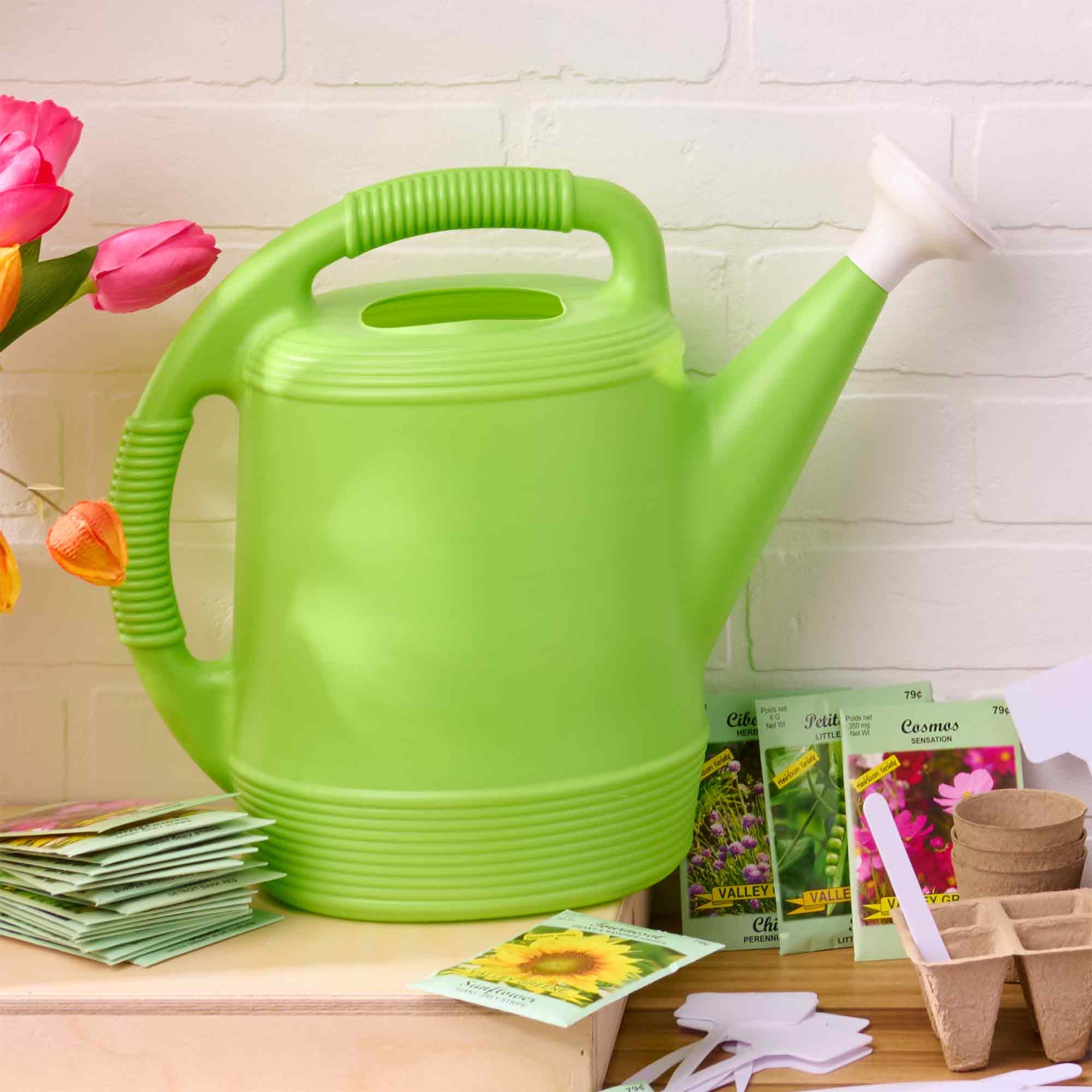 Plastic Watering Can, 7.5-L. – Giant Tiger