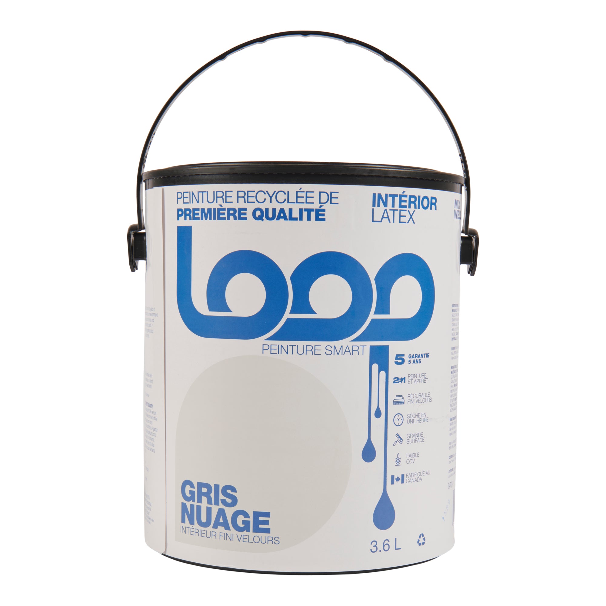 Loop Interior Latex Premium Recycled Paint, Cloud Grey, 3.8-L. – Giant ...