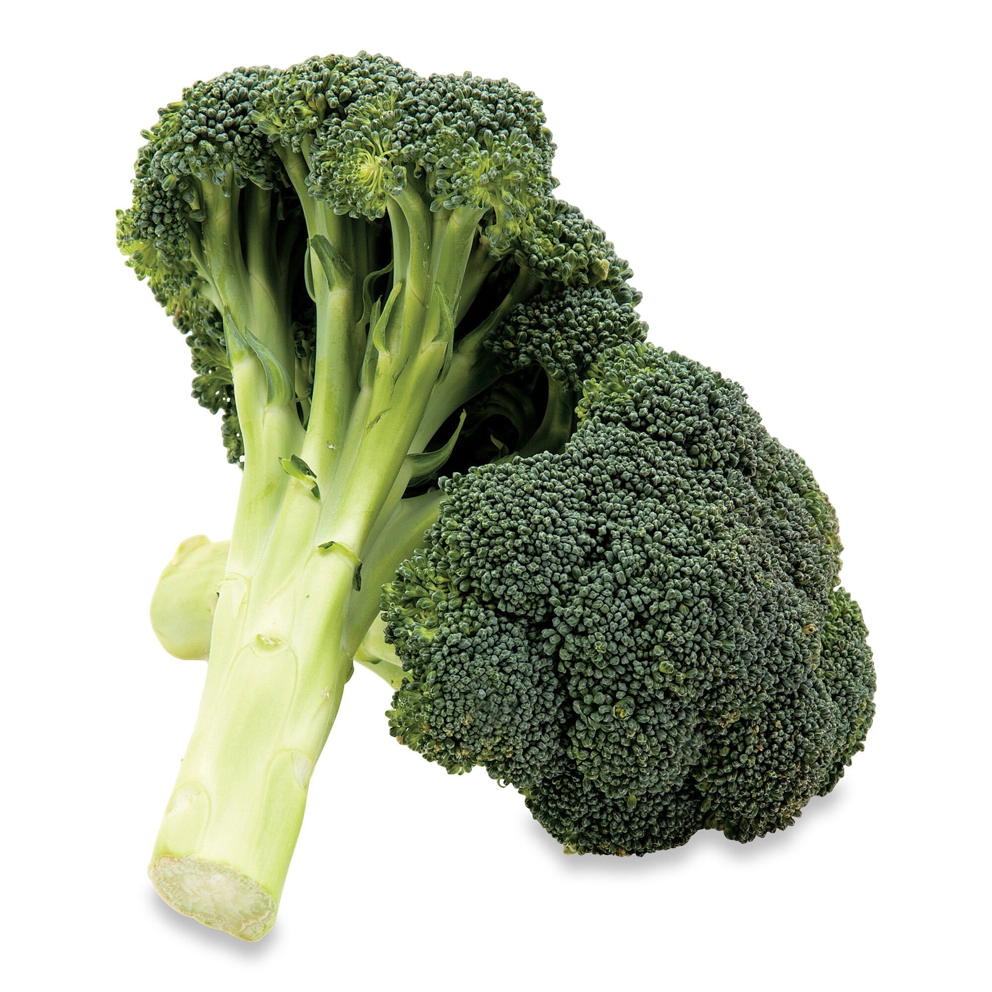 Broccoli – Giant Tiger