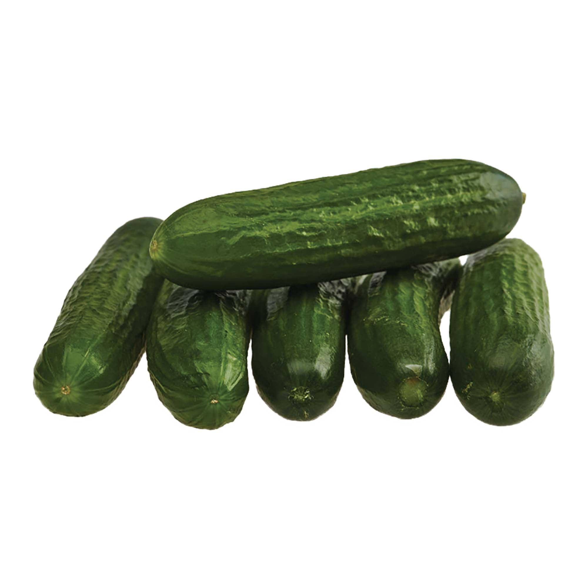 Mini Cucumbers, 6-Pack – Giant Tiger