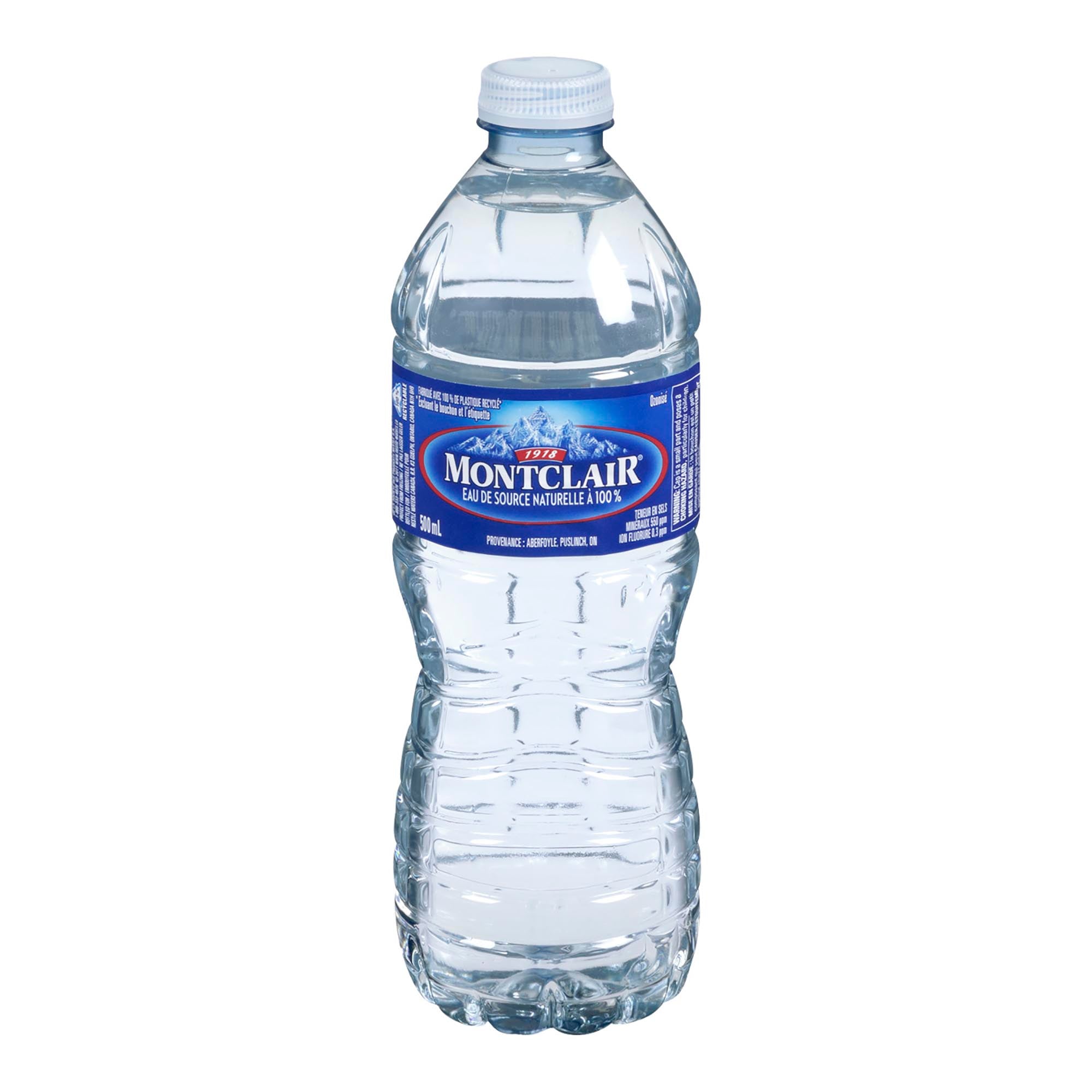 Aberfoyle Spring Water, 500ml – Giant Tiger