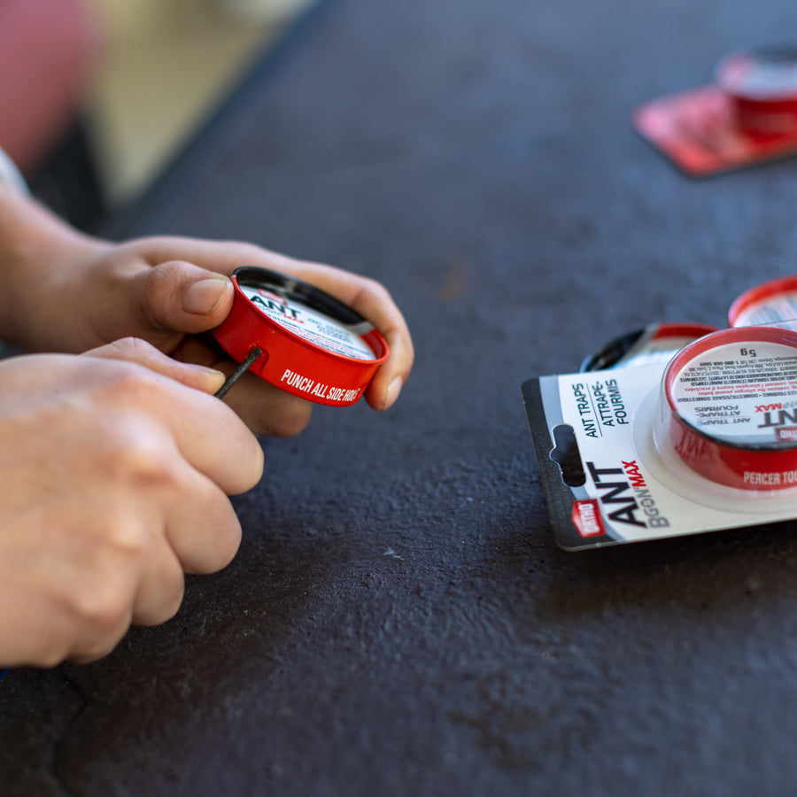 Ortho Ant B Gon Max Ant Traps, 3-Pack, 5-g – Giant Tiger