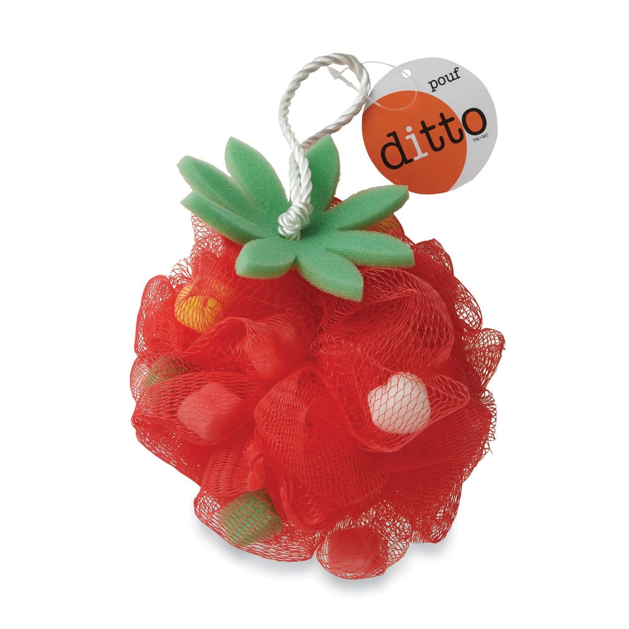 Fleur de douche Ditto en forme de fruit 3,9 po – Giant Tiger