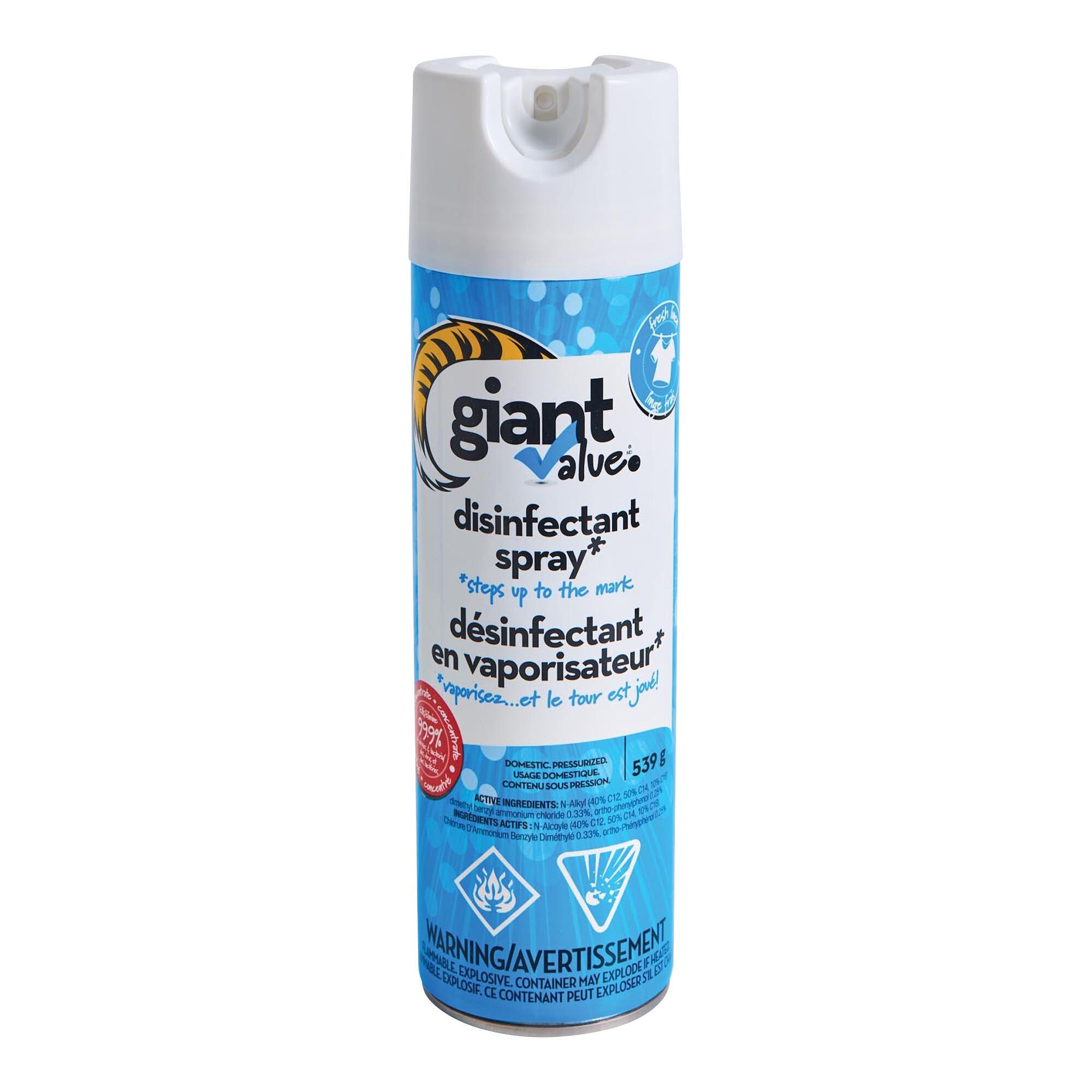Giant Value Disinfectant Spray, 539-g – Giant Tiger